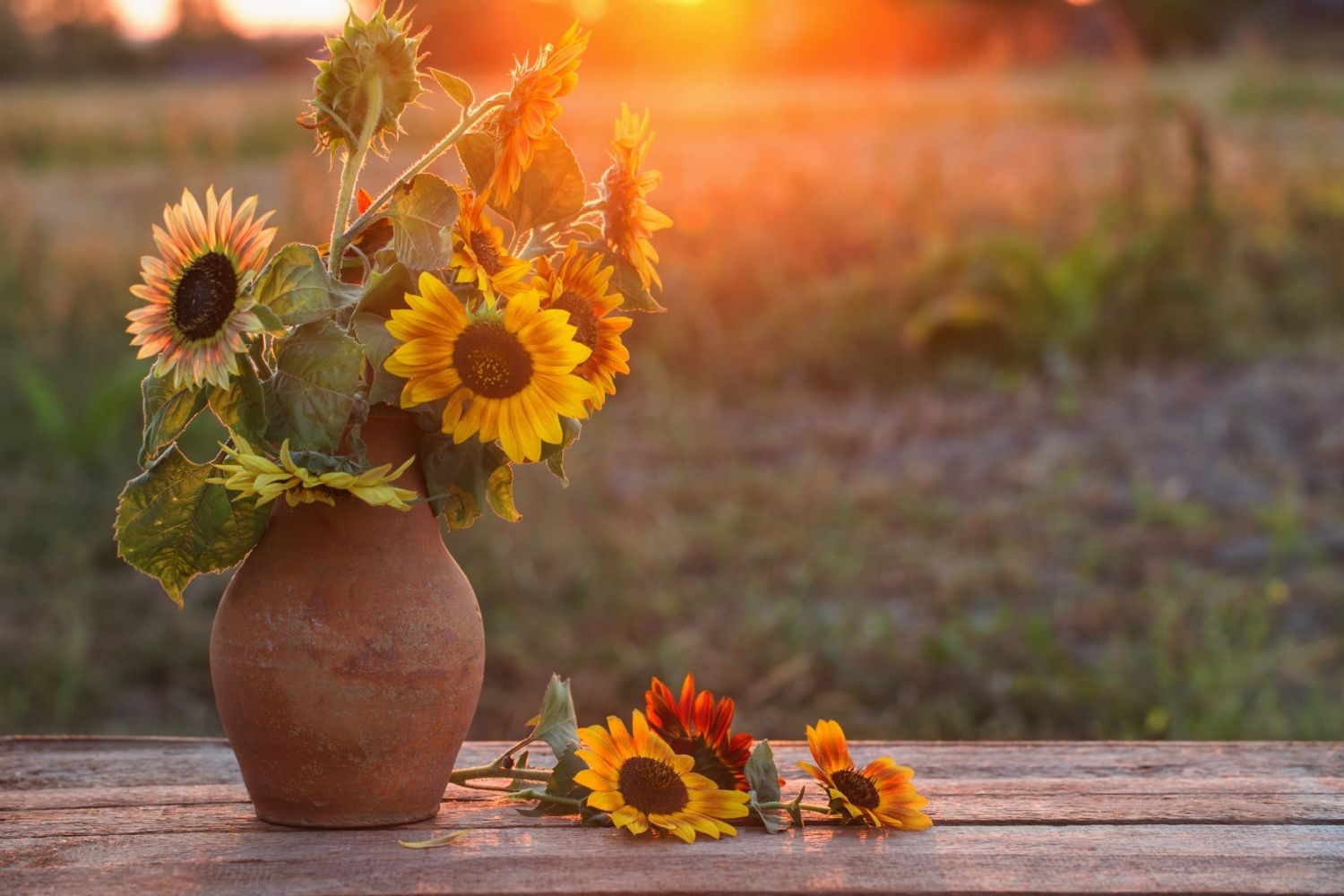 Cute and Cozy Autumn Decor for the Home - 21 Great Fall Decorating ...